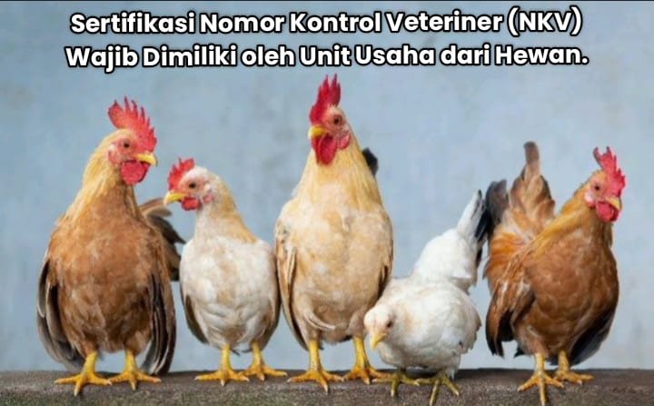 Sertifikasi NKV Wajib Dimiliki oleh Unit Usaha dari Hewan - LINTASJATIM.com